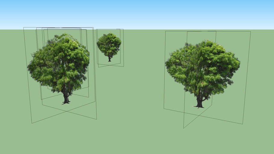 tree . | 3D Warehouse