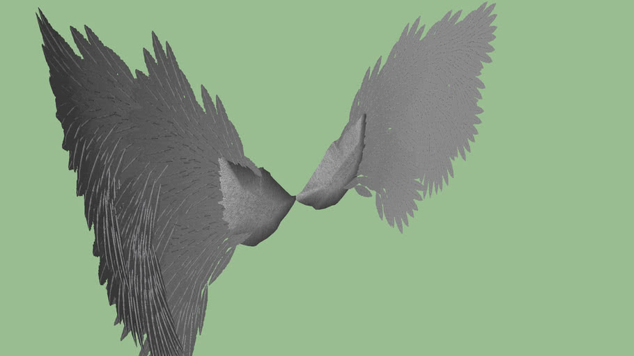 Wings (ailes) | 3D Warehouse