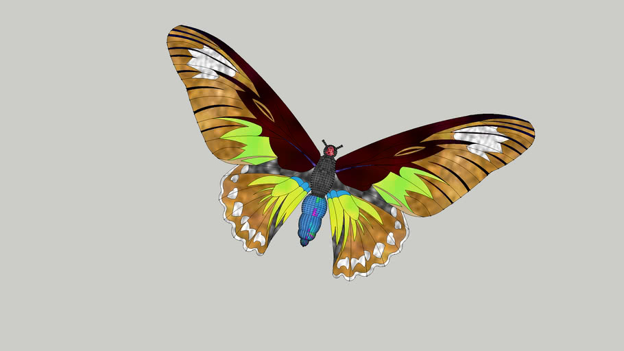 3D Butterfly 6 | 3D Warehouse