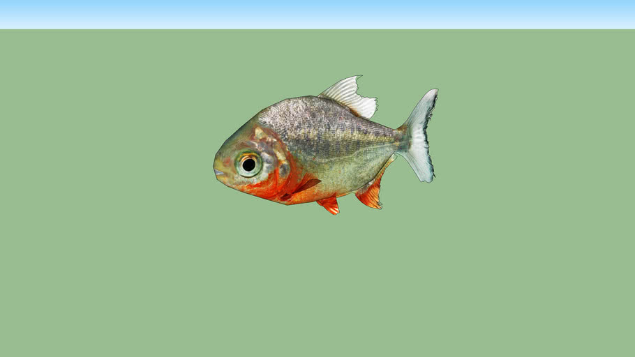 Piranha | 3D Warehouse