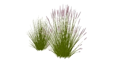 garden grass/plants | 3D Warehouse